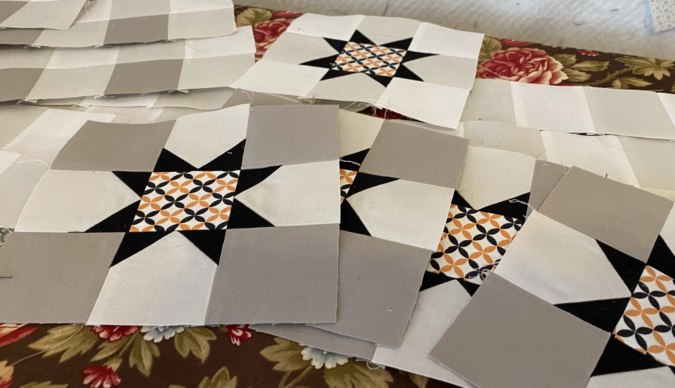 Buffalo Table Topper Progress - Sister’s Choice Quilts