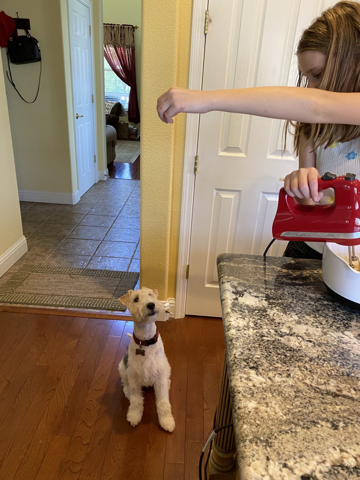 Pinetree Block, Archie Gets a Haircut, and Eva Makes Snickerdoodles ...
